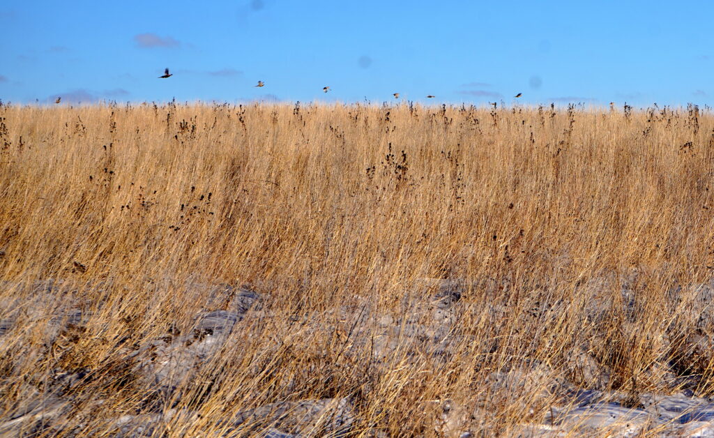 ‘It was just a perfect day’ | News, Sports, Jobs - North Tama Telegraph